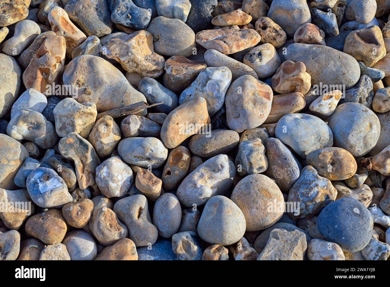 Detail fo shingle and stones on a beach Stock Photo - Alamy