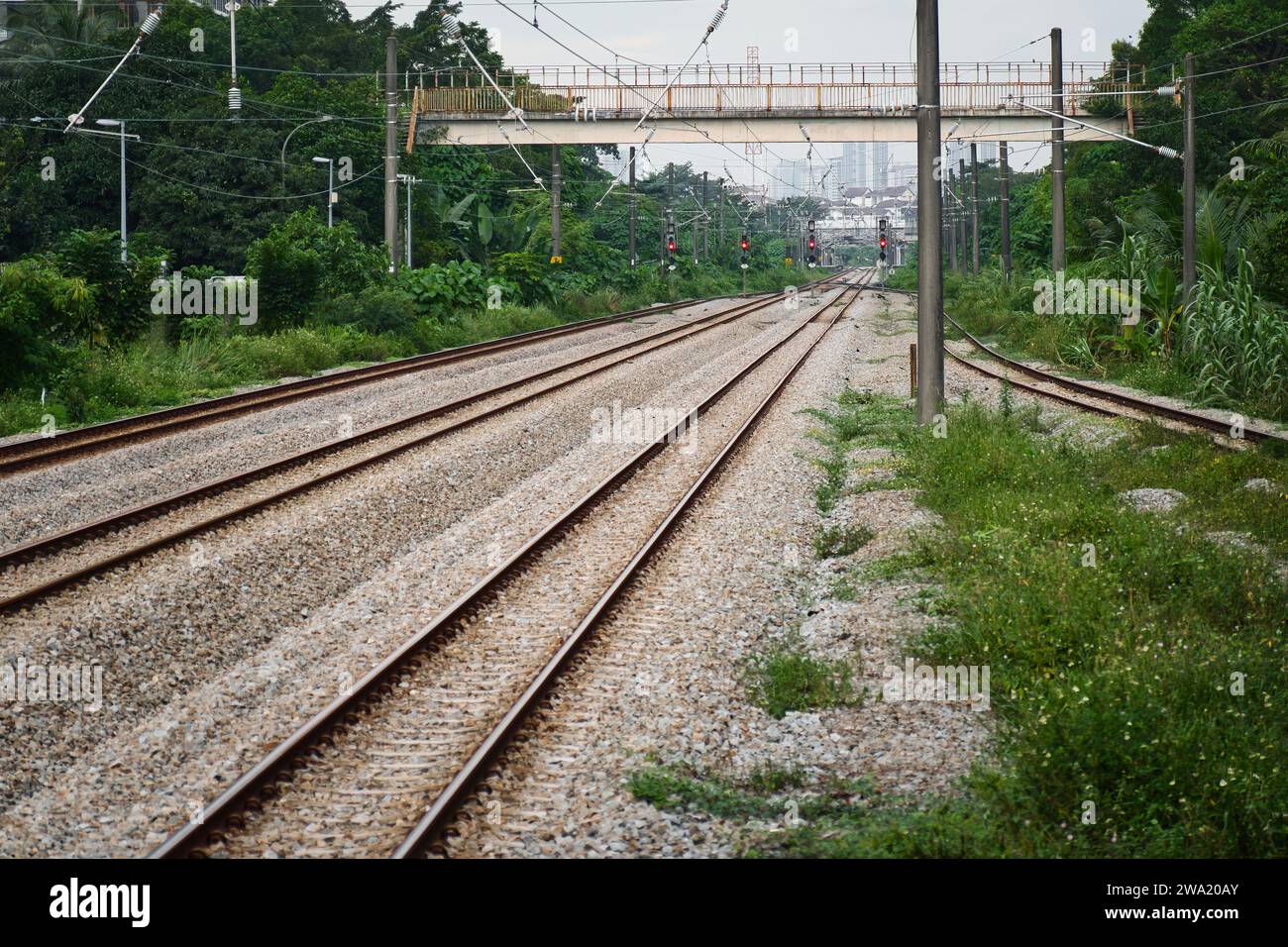 Empty train tracks with active railway signals in the distant, trees ...