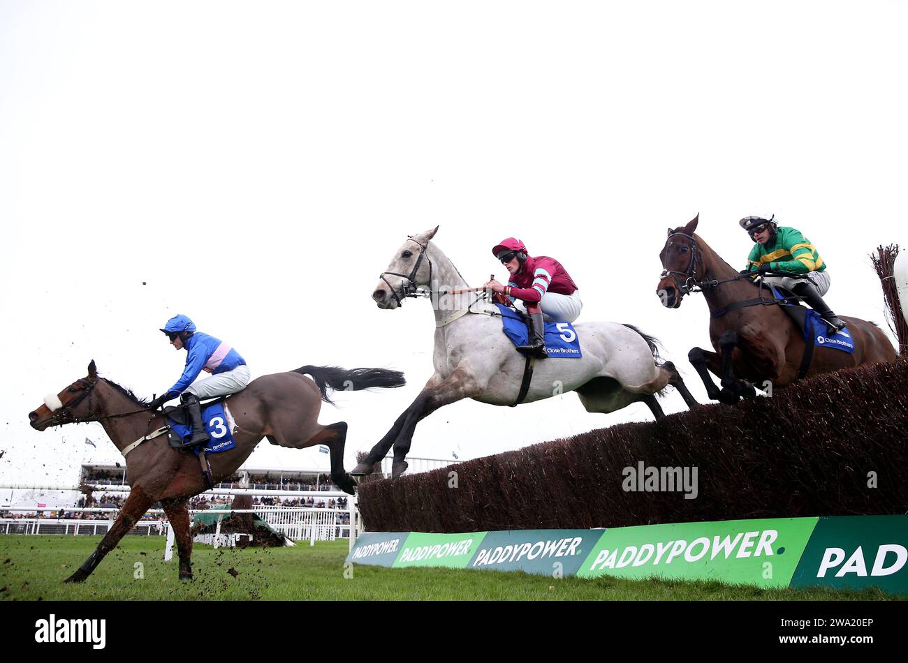 Libberty hunter horse hi-res stock photography and images - Alamy