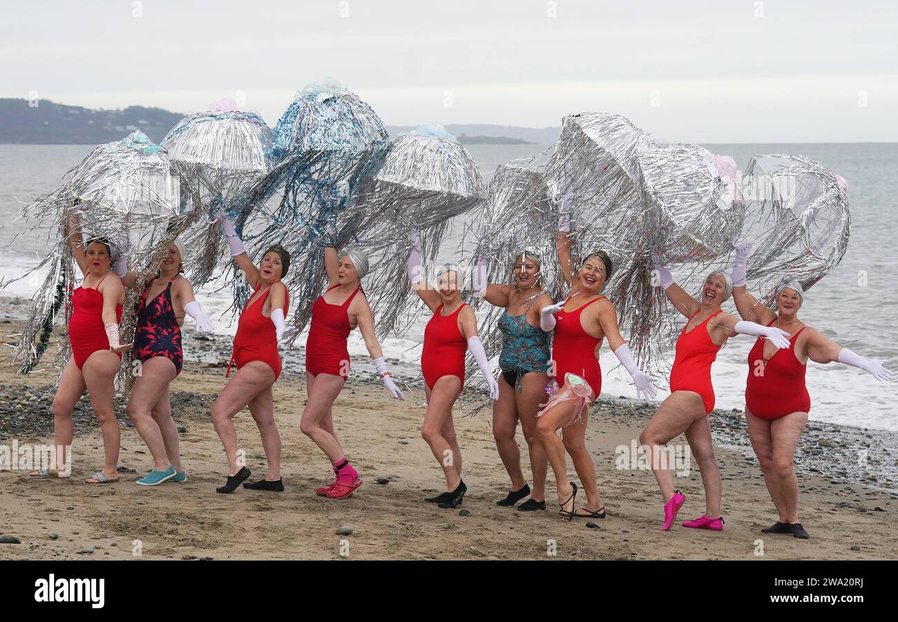 Members of the Bray Beach Bathers arrive to take part in the annual New ...