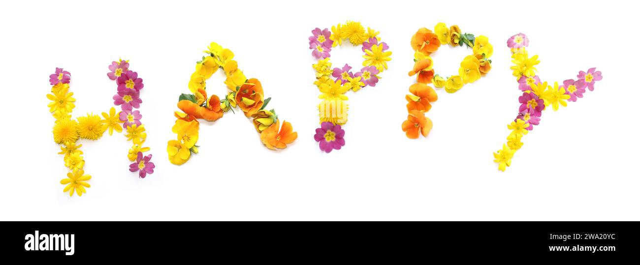 Happy valentines day lettering hi-res stock photography and images - Alamy