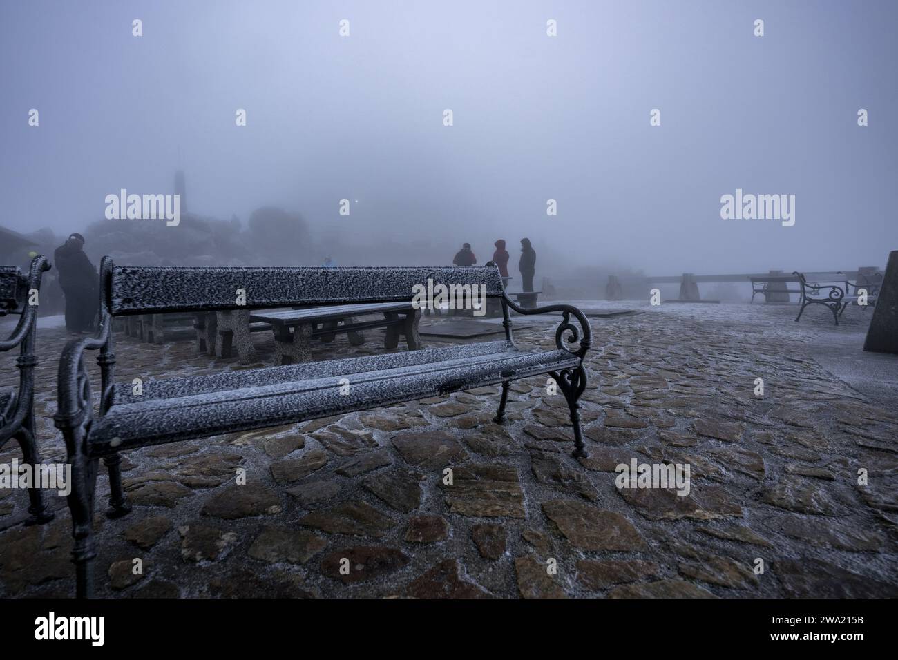 Jested, Liberec. 1st Jan, 2024. Forty-ninth New Year's ascent to Jested ...