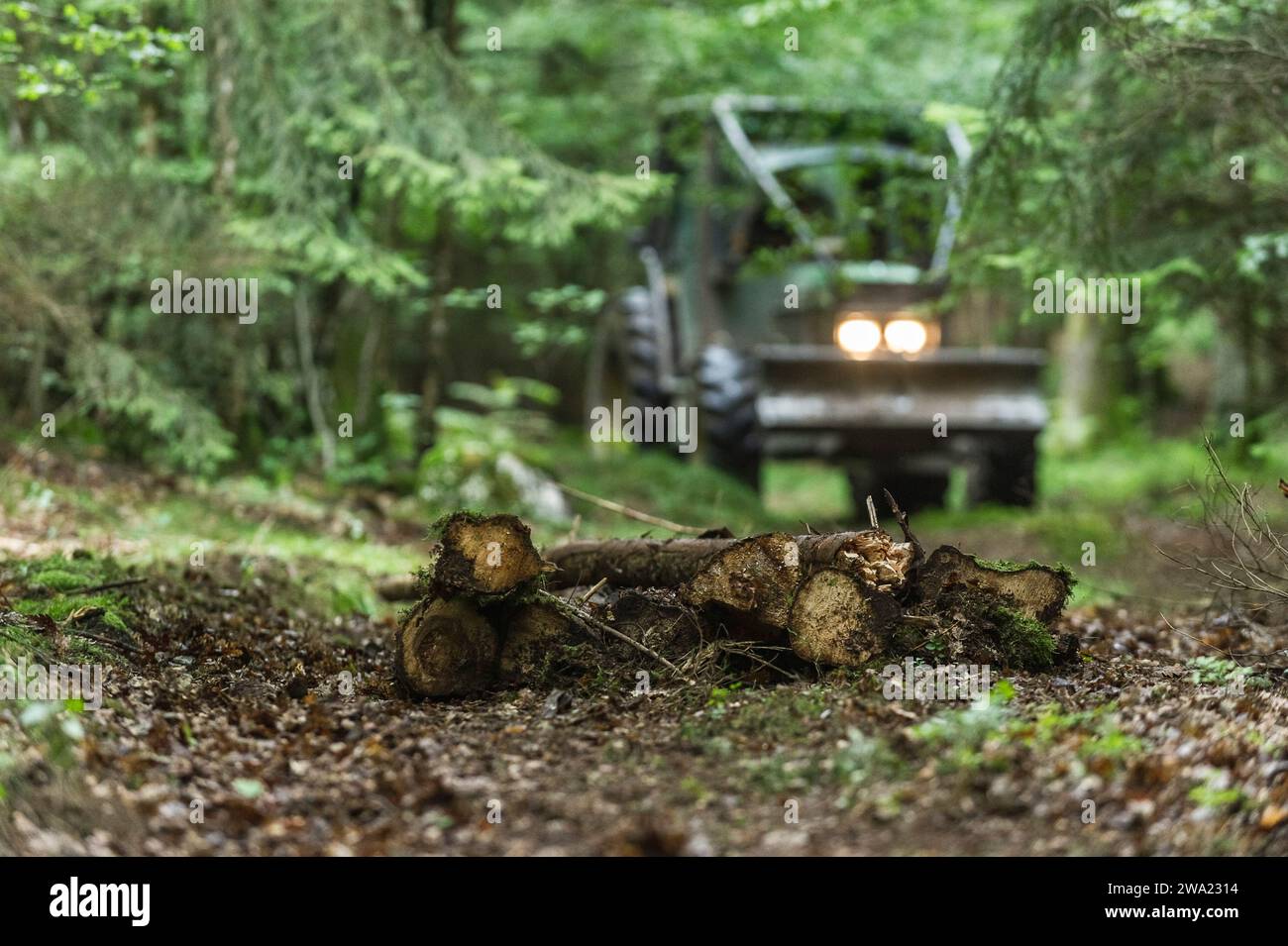Le debusquage suit le debardage. Il s'agit d'assurer le transport du ...