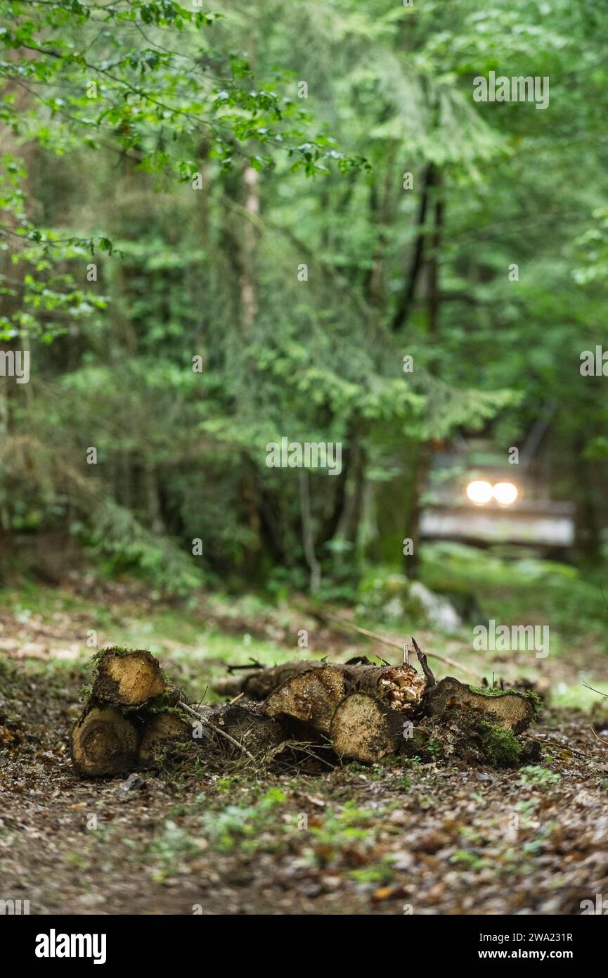 Le debusquage suit le debardage. Il s'agit d'assurer le transport du ...