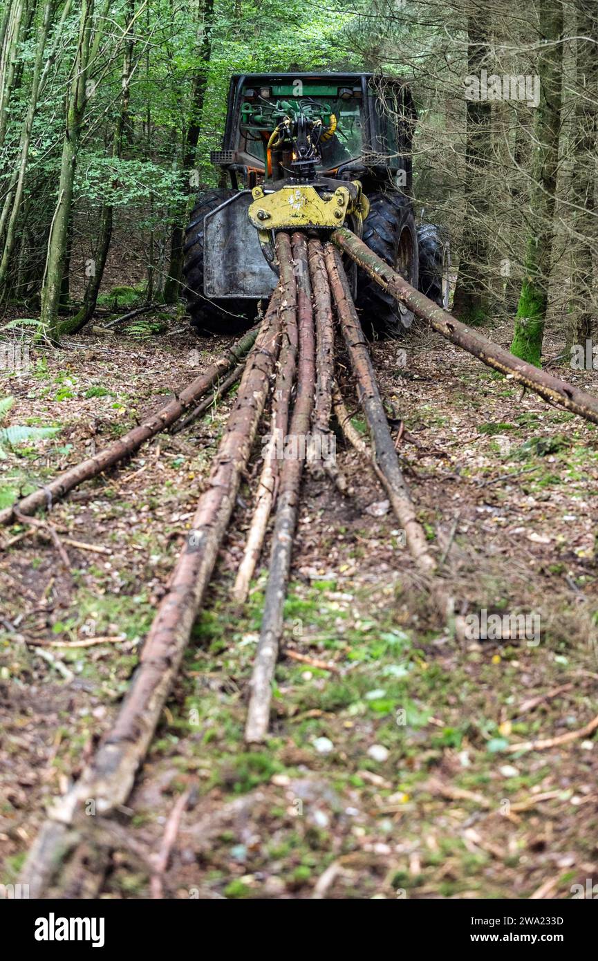 Le debusquage suit le debardage. Il s'agit d'assurer le transport du ...