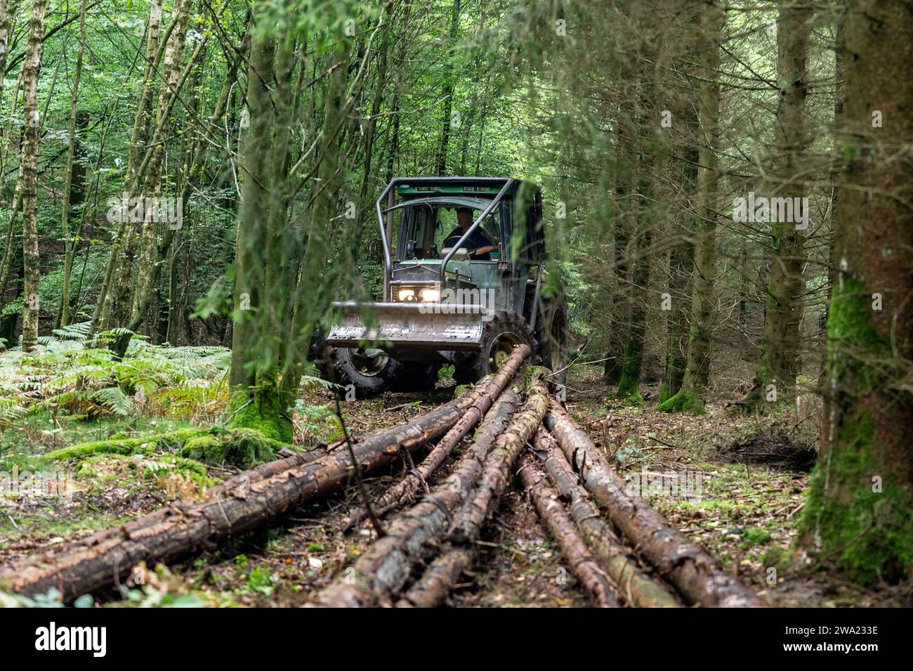 Le debusquage suit le debardage. Il s'agit d'assurer le transport du ...