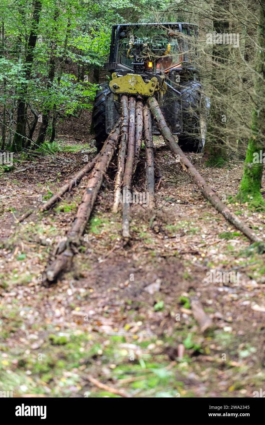 Le debusquage suit le debardage. Il s'agit d'assurer le transport du ...