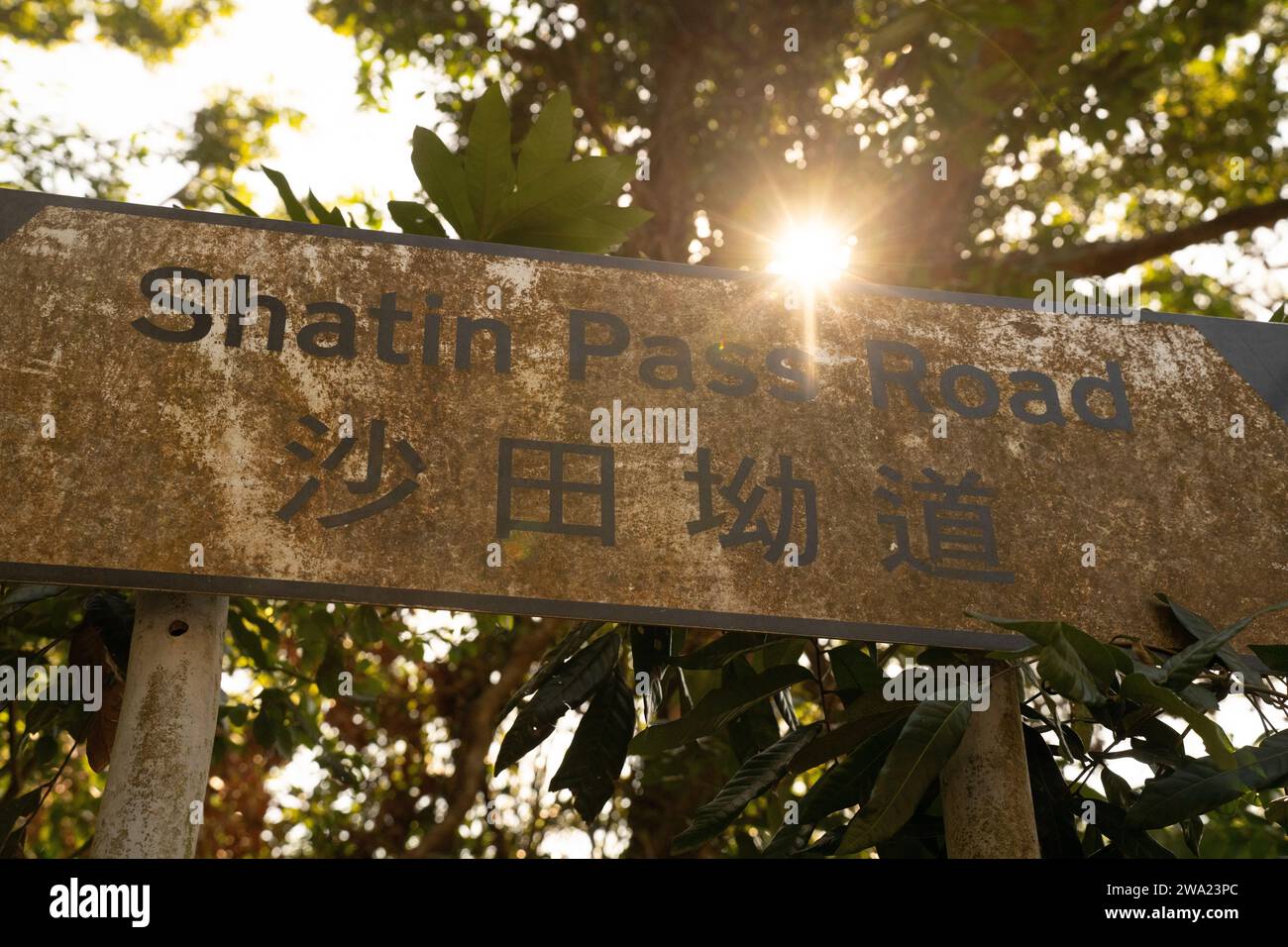 Pascoa charter hi-res stock photography and images - Alamy