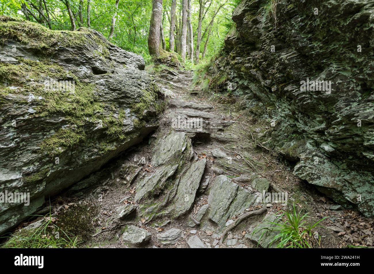 Les cretes de Frahan et les ruines du chateau de Montragut dominent la ...