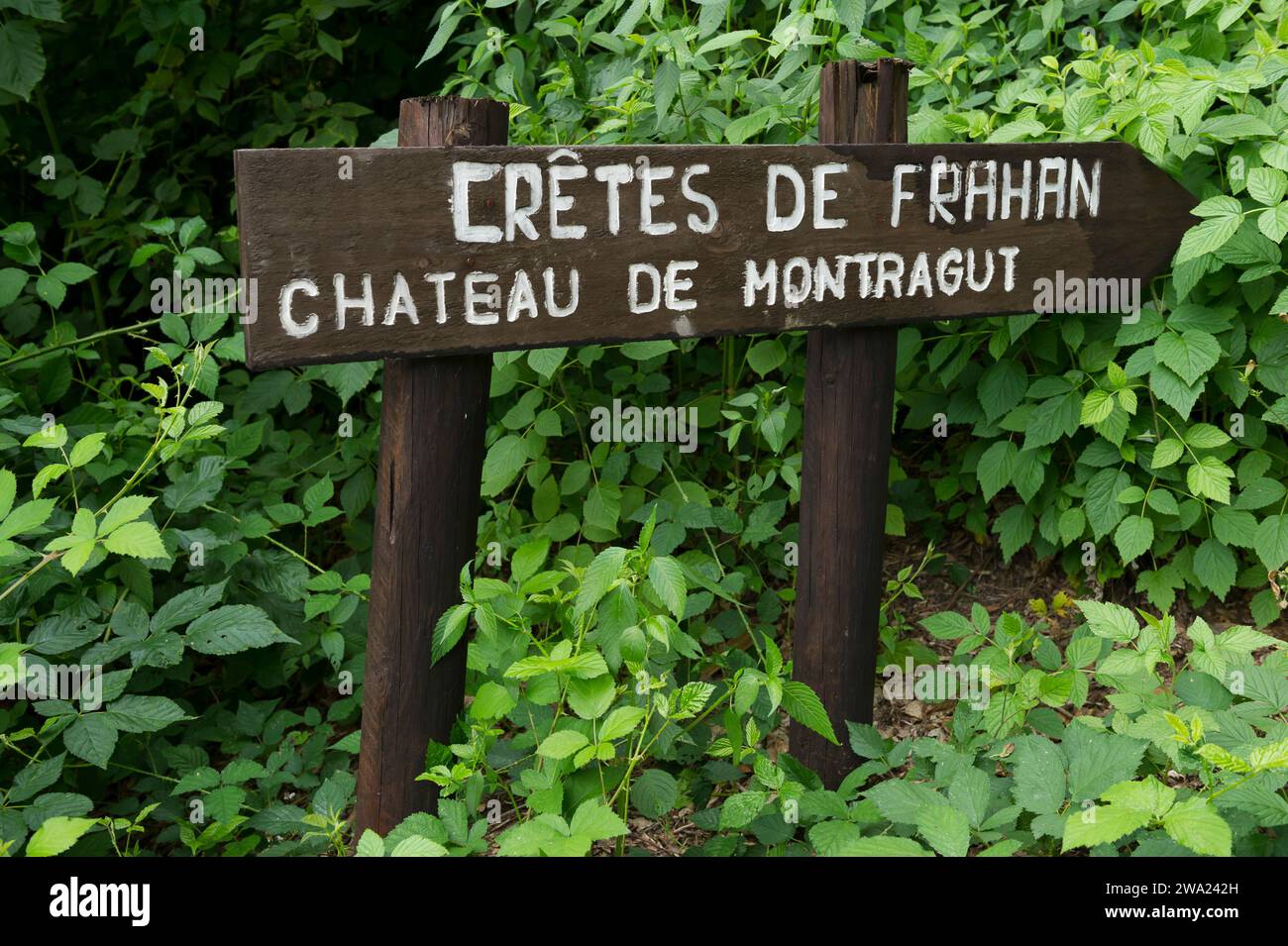 Les cretes de Frahan et les ruines du chateau de Montragut dominent la ...