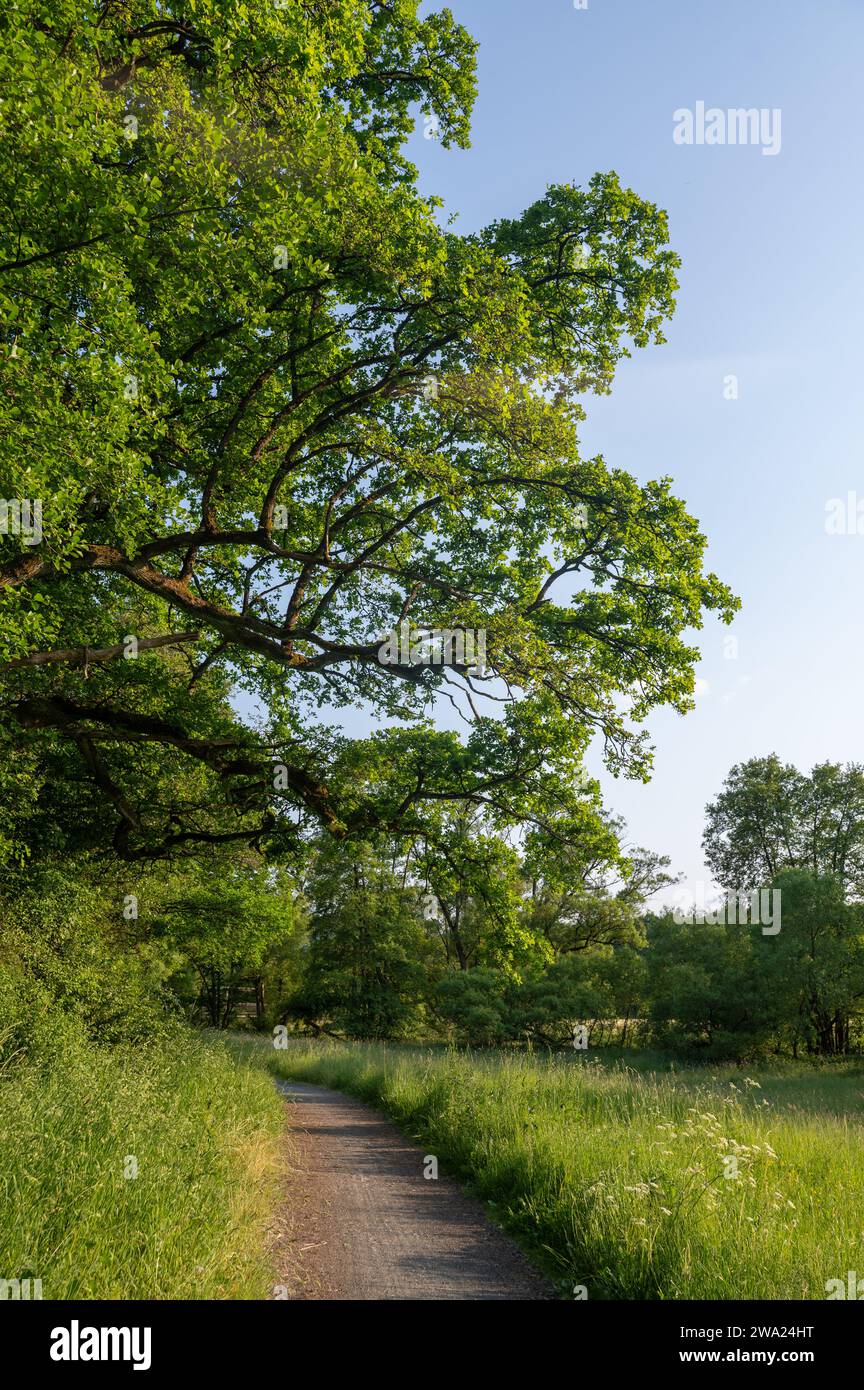 On the side of the path hi-res stock photography and images - Alamy