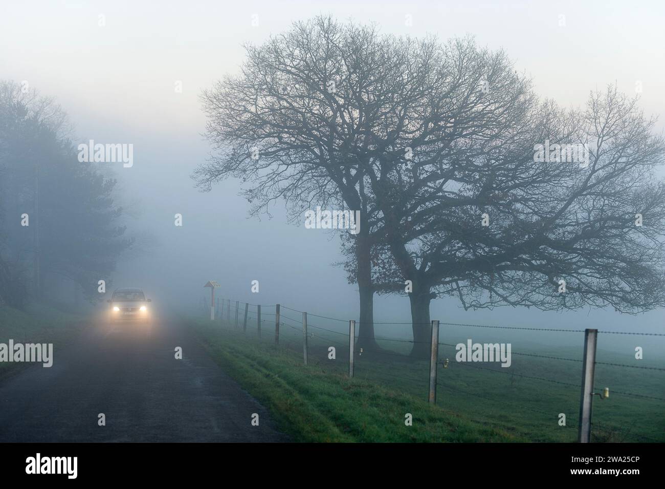 Driving in the mist | Conduire dans le brouillard Stock Photo - Alamy