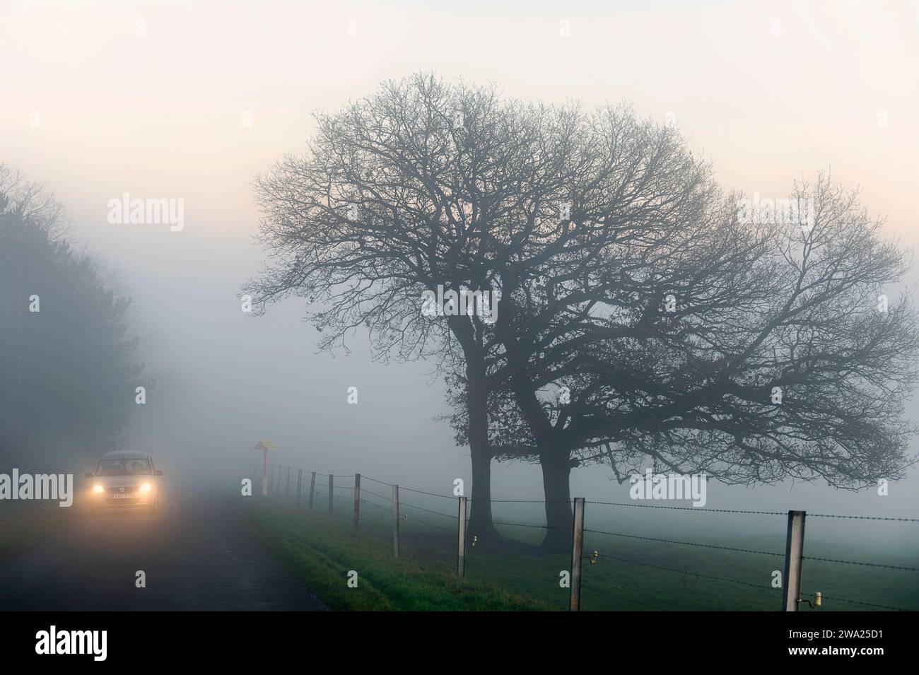 Brouillard belgique hi-res stock photography and images - Alamy
