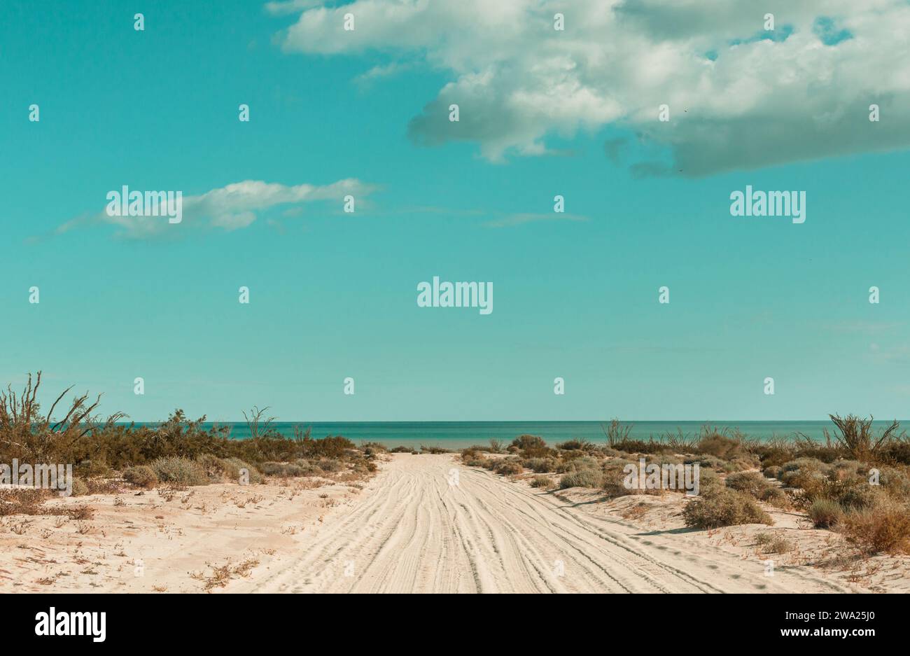 Beautiful natural landscapes in Baja California, Mexico Stock Photo - Alamy