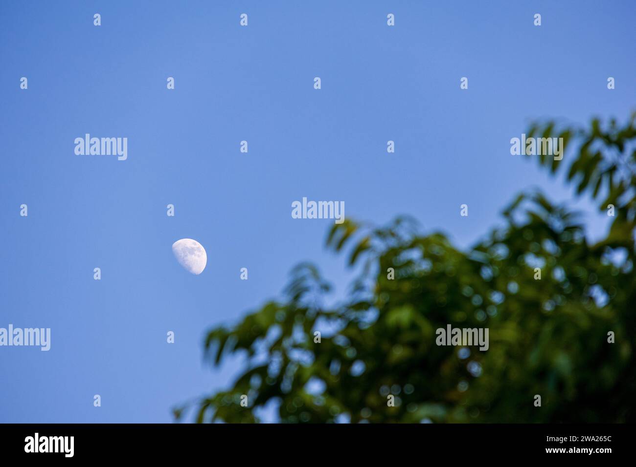 Close-up of a crescent moon in the sunset light against a backdrop of a ...