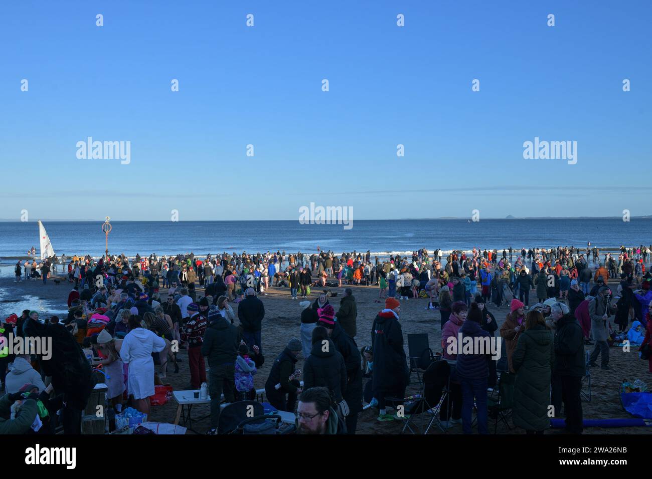 New year dook 2024 hi-res stock photography and images - Alamy