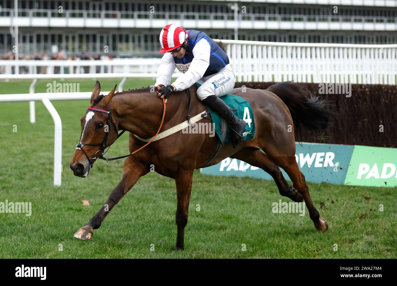 Shakem Up'Arry ridden by Ben Jones wins The Paddy Power New Year's Day ...