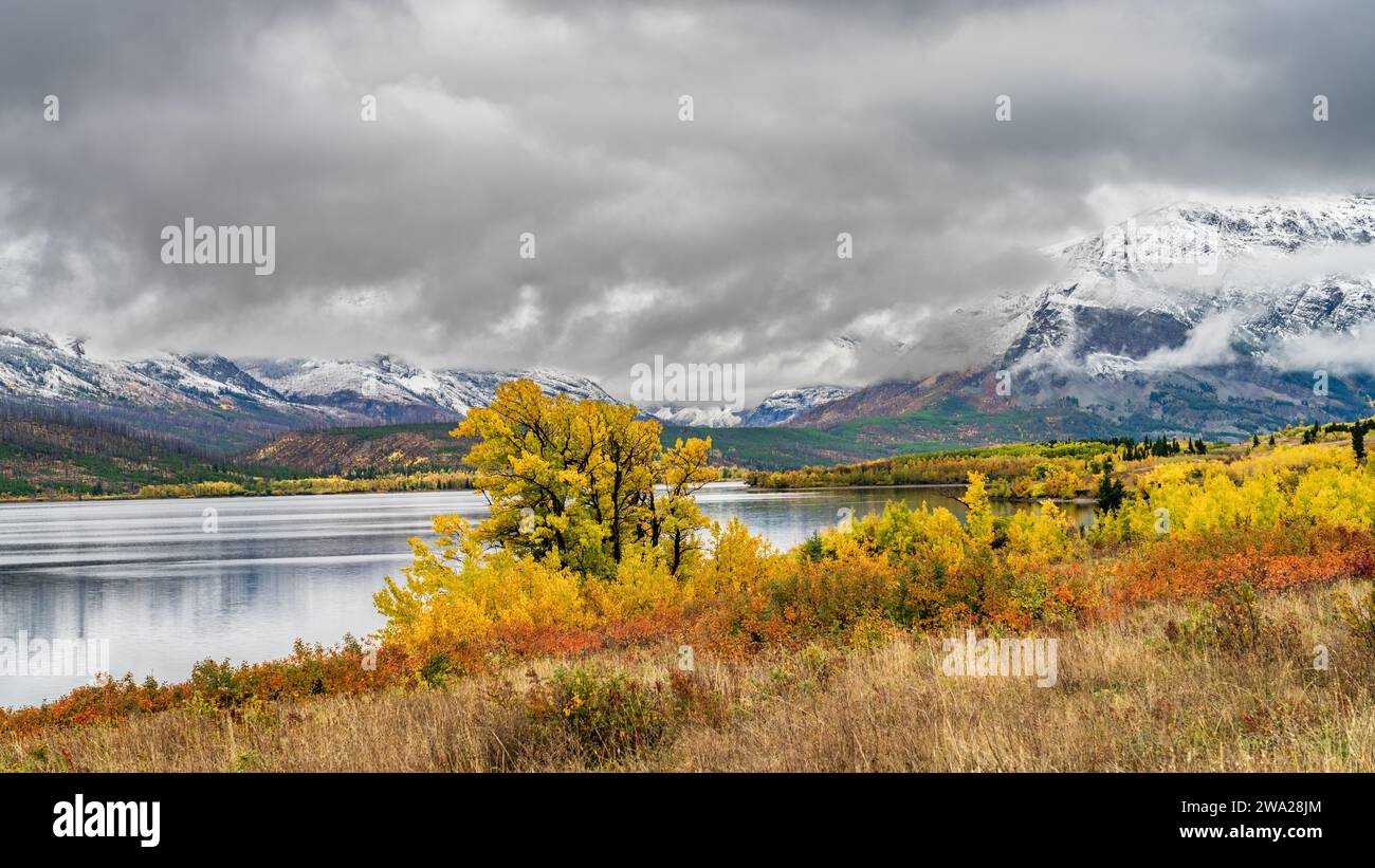Fall foliage color in the St. Mary's east entrance of Glacier National ...