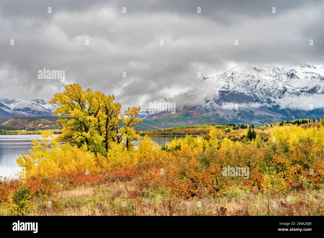 Fall foliage color in the St. Mary's east entrance of Glacier National ...