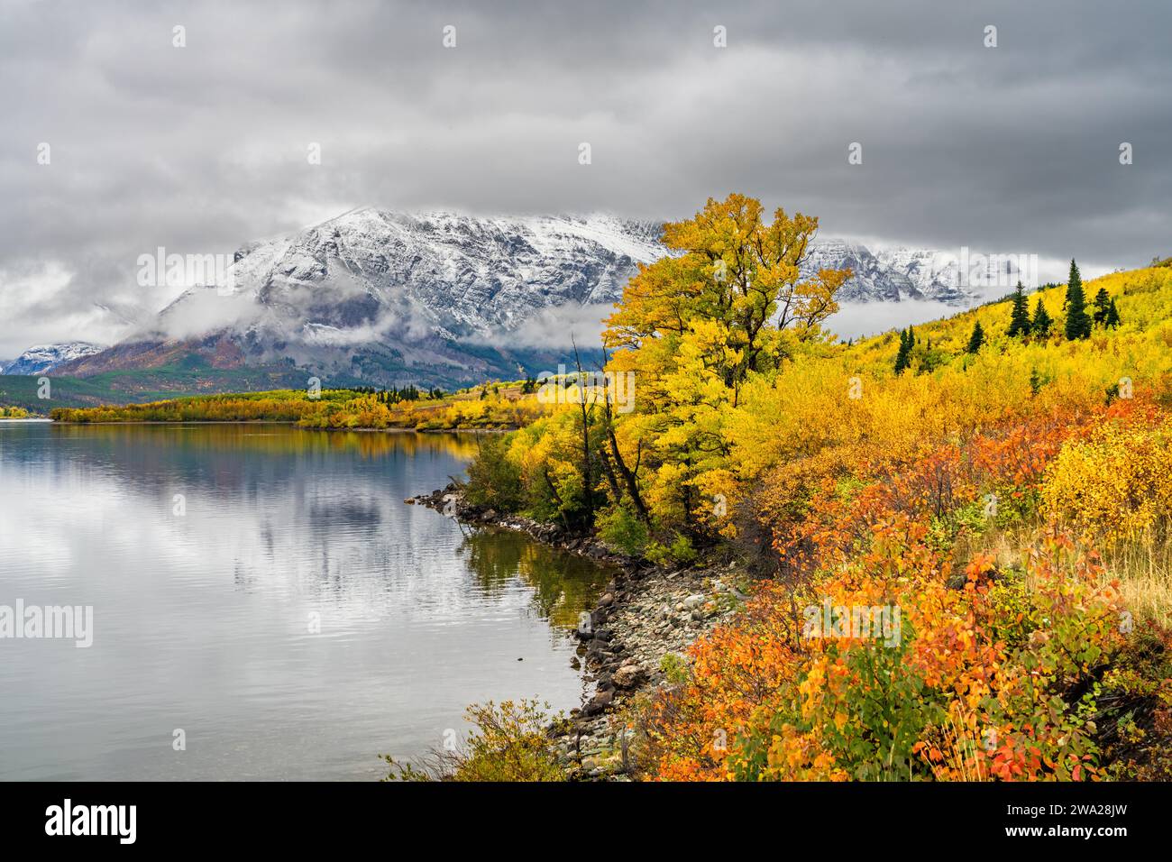 Fall foliage color in the St. Mary's east entrance of Glacier National ...