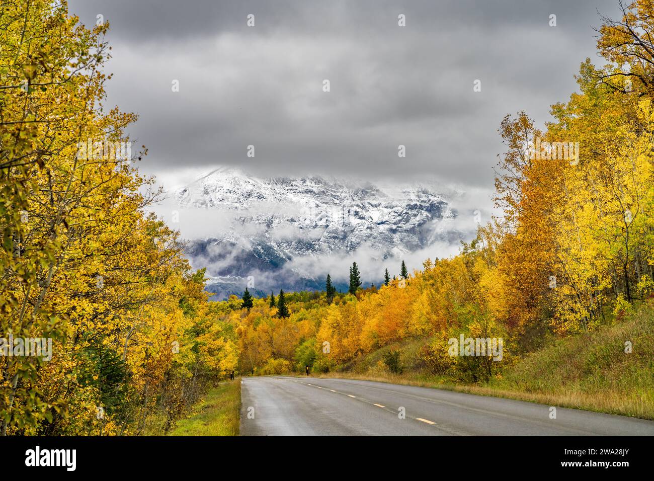 Fall foliage color in the St. Mary's east entrance of Glacier National ...