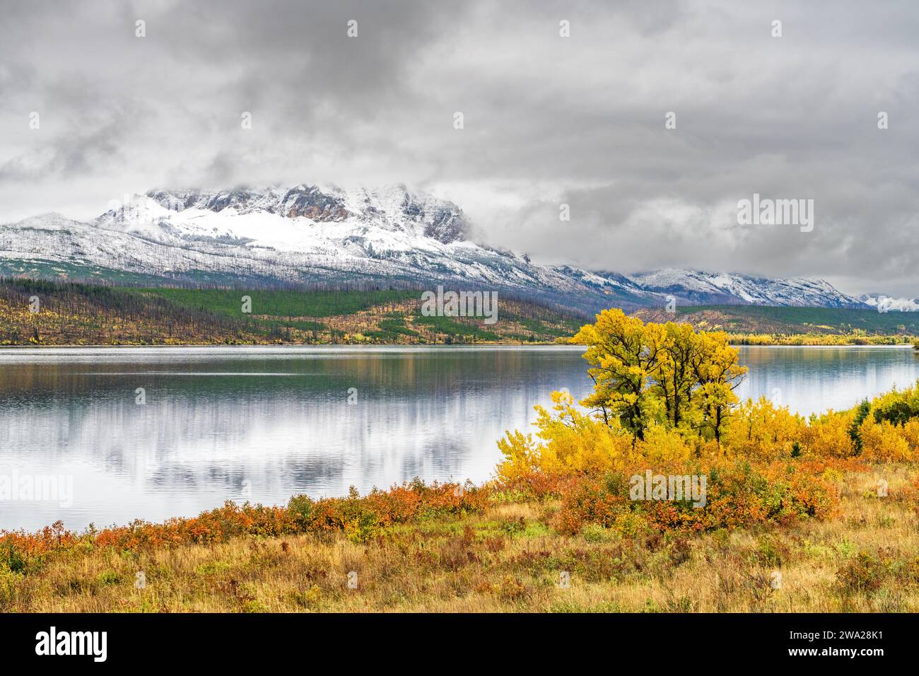 Fall foliage color in the St. Mary's east entrance of Glacier National ...