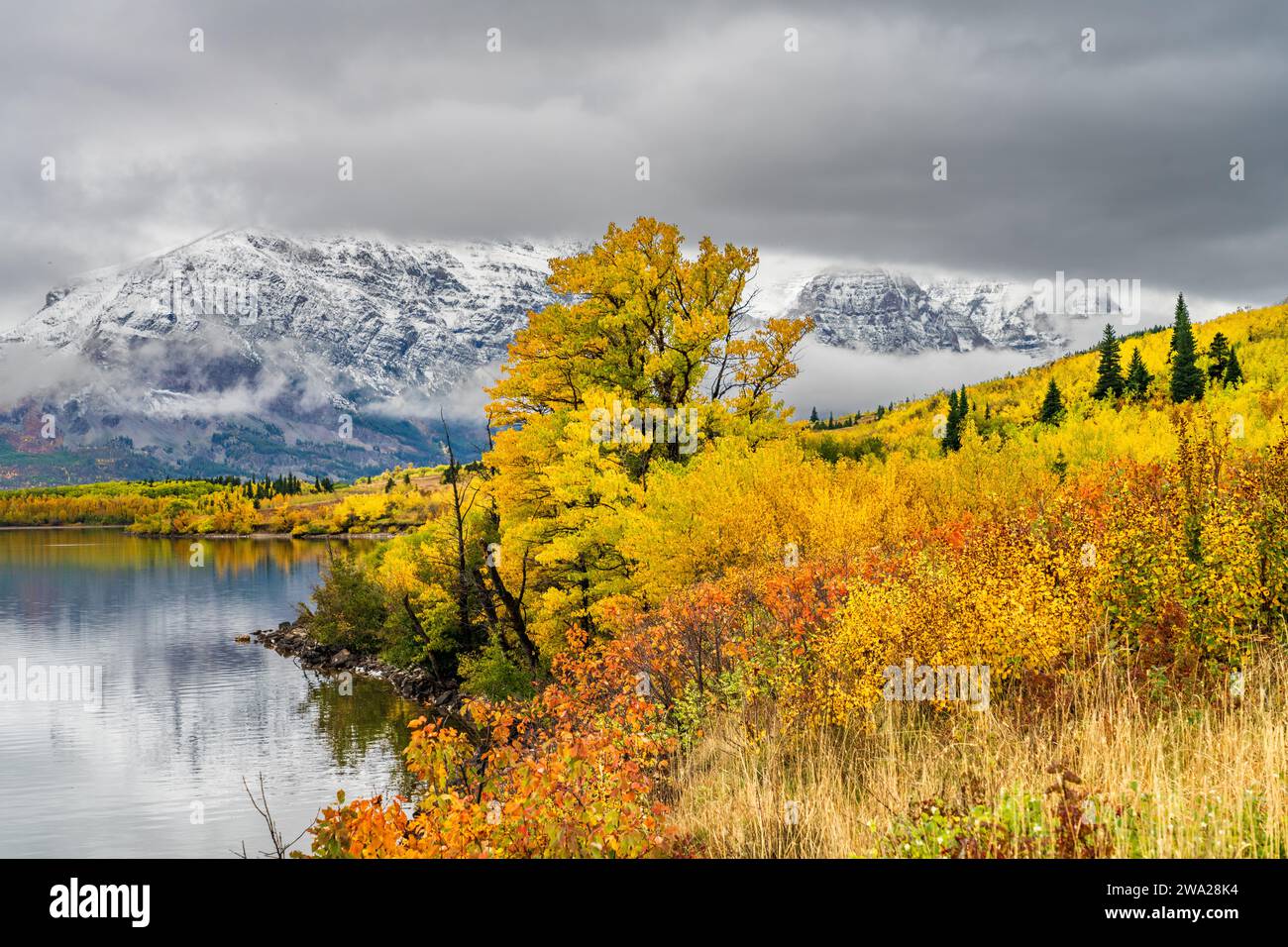 Fall foliage color in the St. Mary's east entrance of Glacier National ...