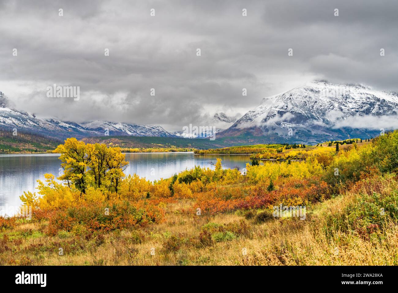 Fall foliage color in the St. Mary's east entrance of Glacier National ...