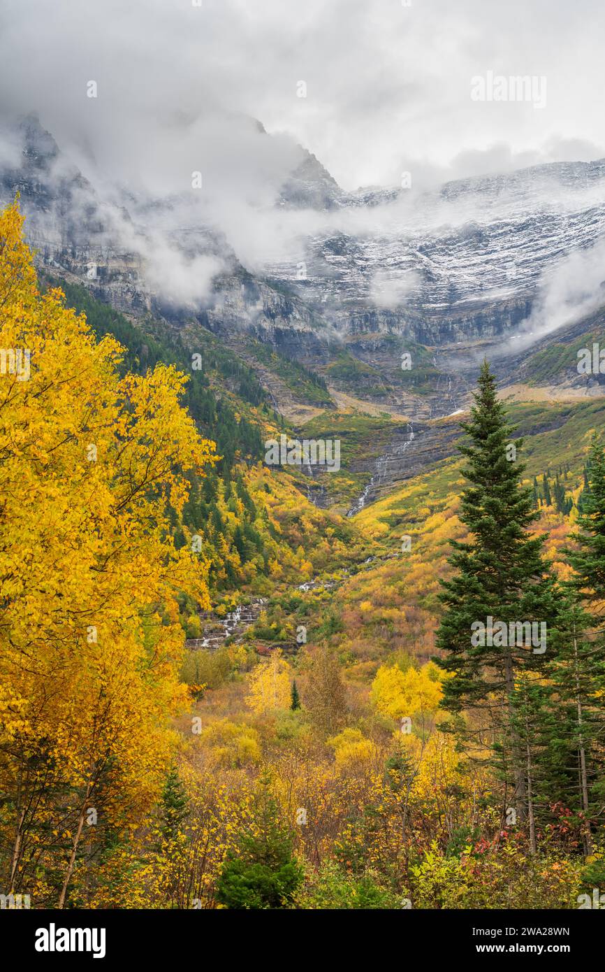 Fall foliage color on the hillsides along the Going to the Sun Road ...
