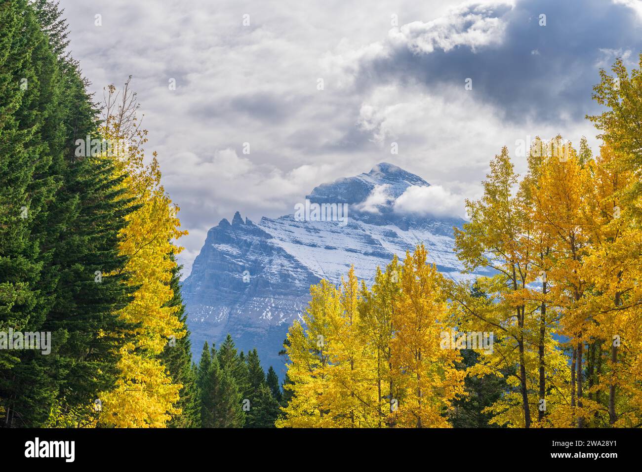 Fall foliage color on the hillsides along the Going to the Sun Road ...