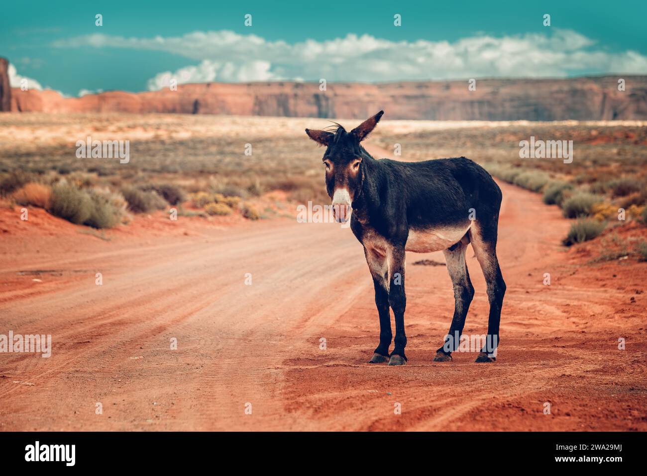 Donley hi-res stock photography and images - Alamy