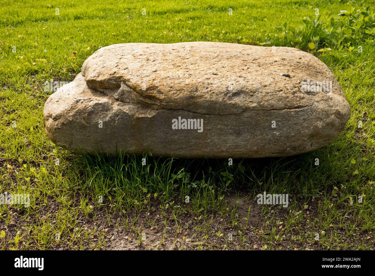 Piece of meadow hi-res stock photography and images - Alamy