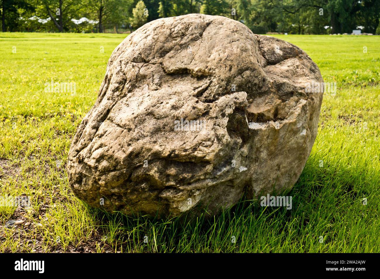 Rock and grass design hi-res stock photography and images - Alamy