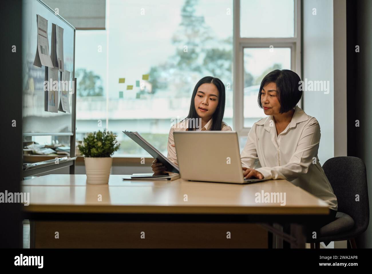 Professional mature business woman explaining work tasks to young ...