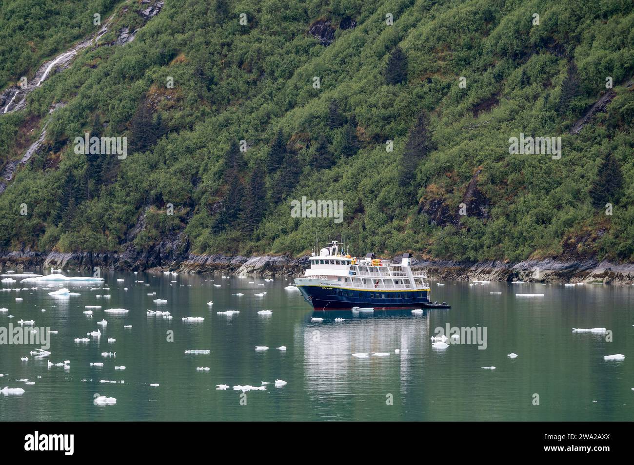 National Geographic Expedition Ship Sea Lion in the Tracy Arm Fjord ...