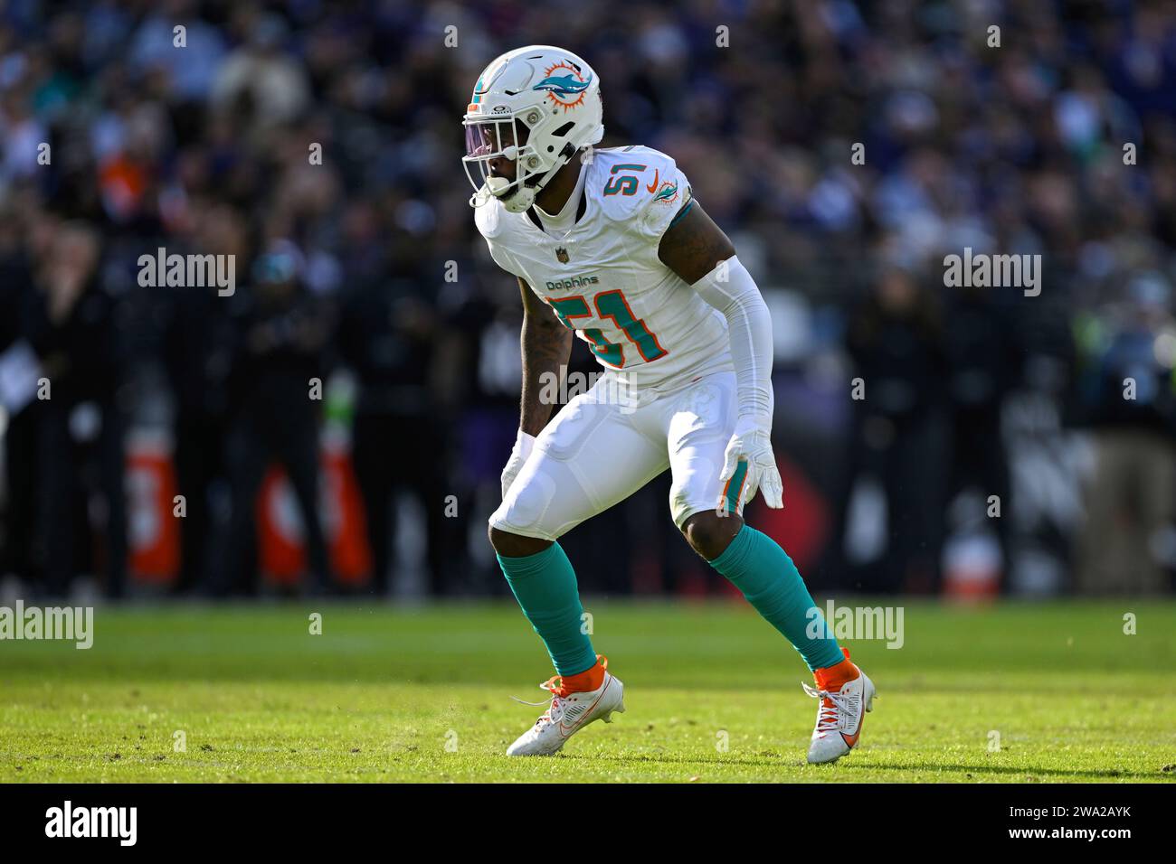 Miami Dolphins linebacker David Long Jr. (51) in action during the ...