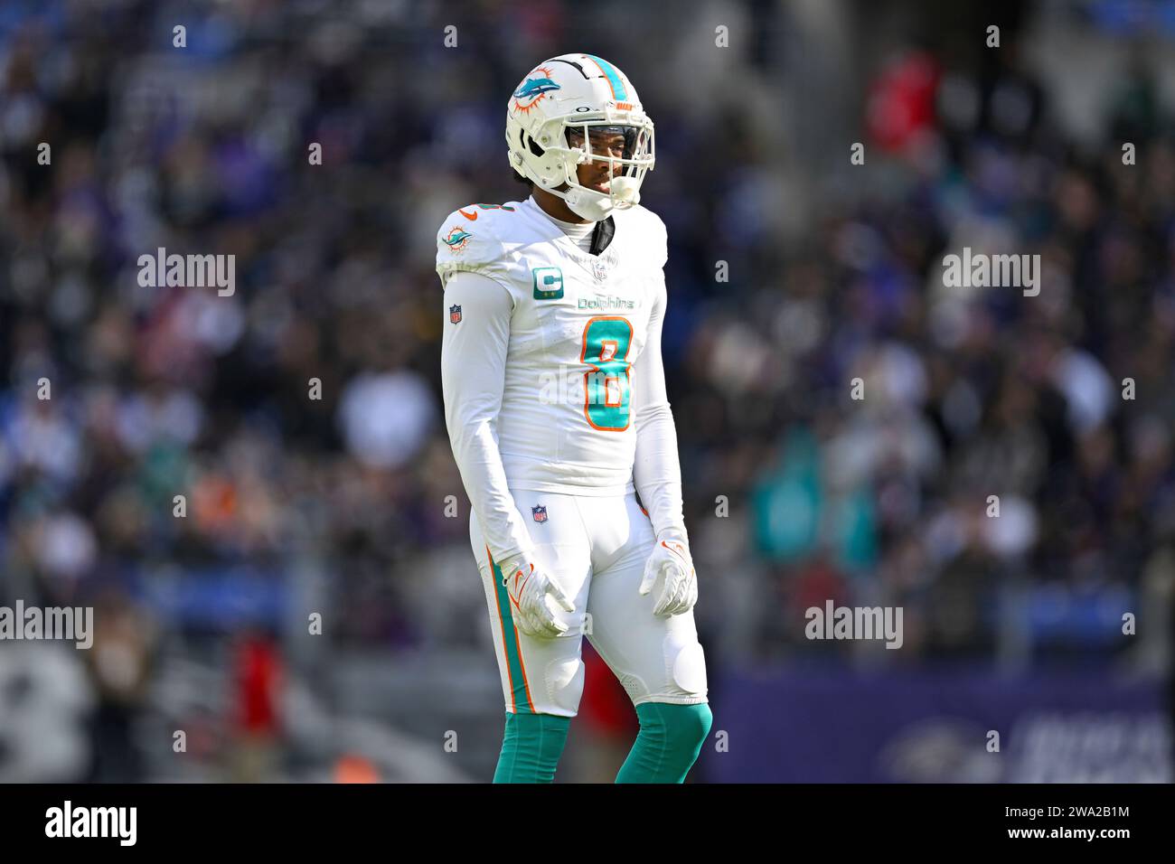 Miami Dolphins safety Jevon Holland (8) looks on between plays during ...