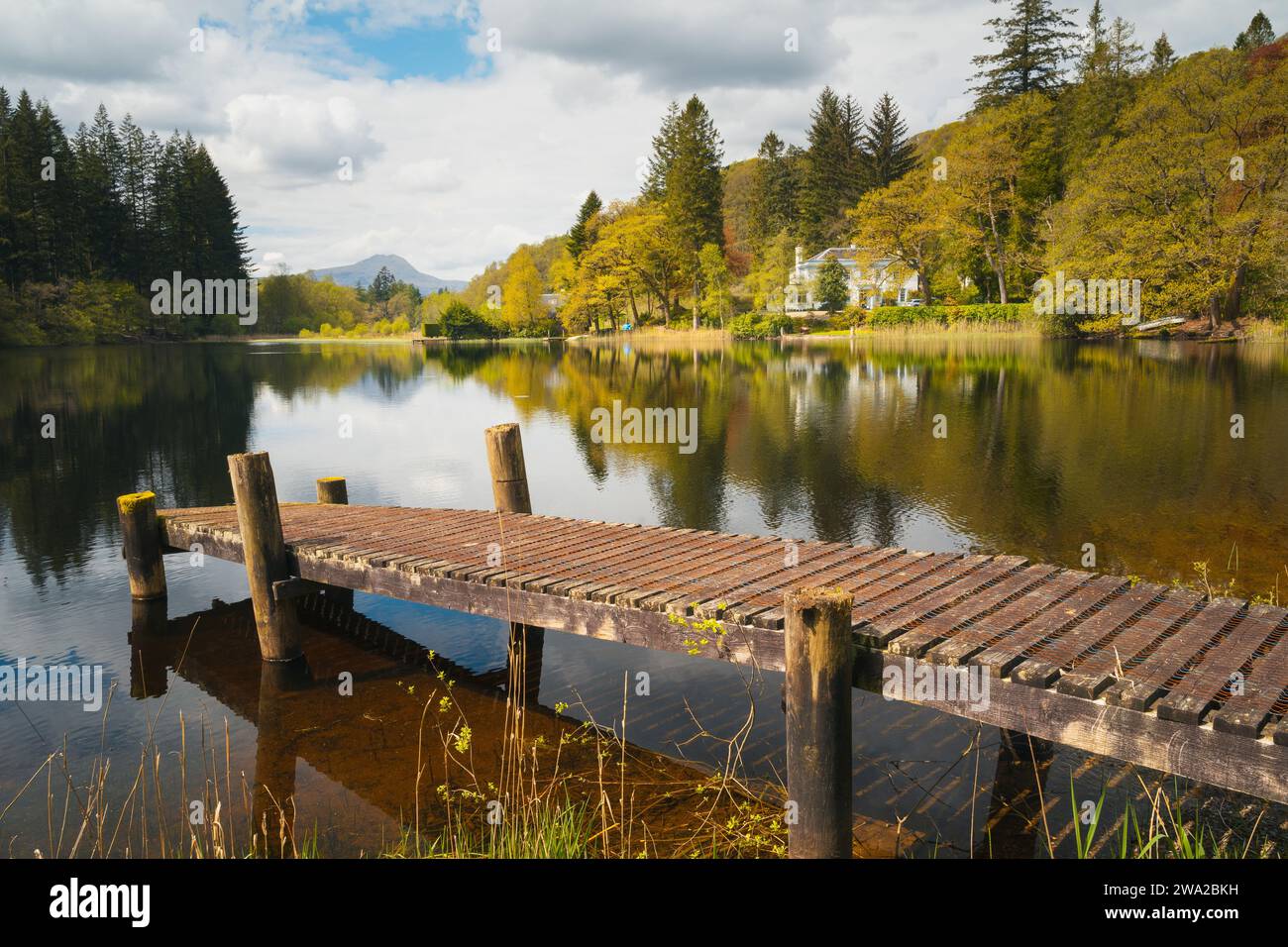 Loch Ard, Trossachs National Park, Scotland, UK Stock Photo - Alamy