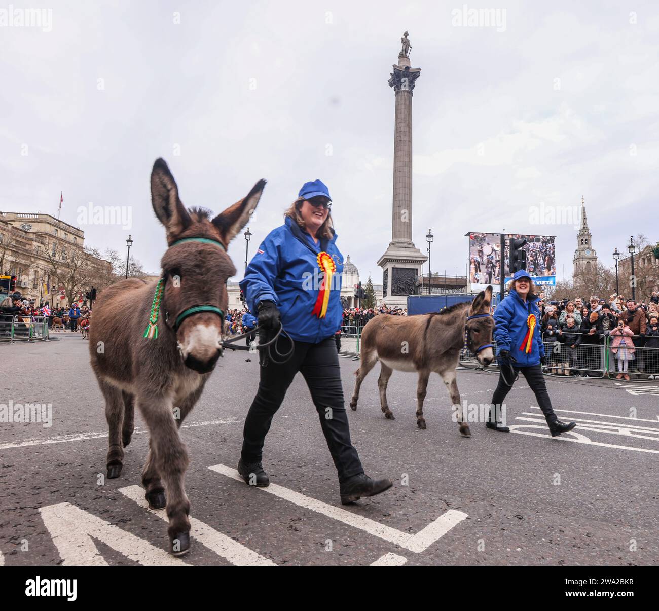 London, UK. 01st Jan, 2024. Crowds line up the streets of Central London today to enjoy The 37th ...