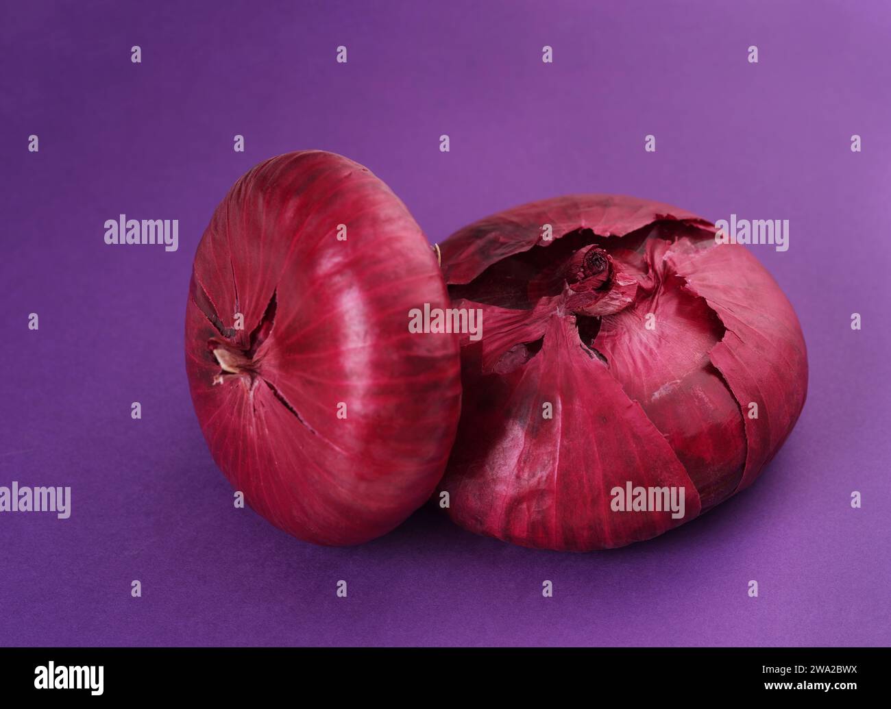 Two red onions on a purple background Stock Photo - Alamy