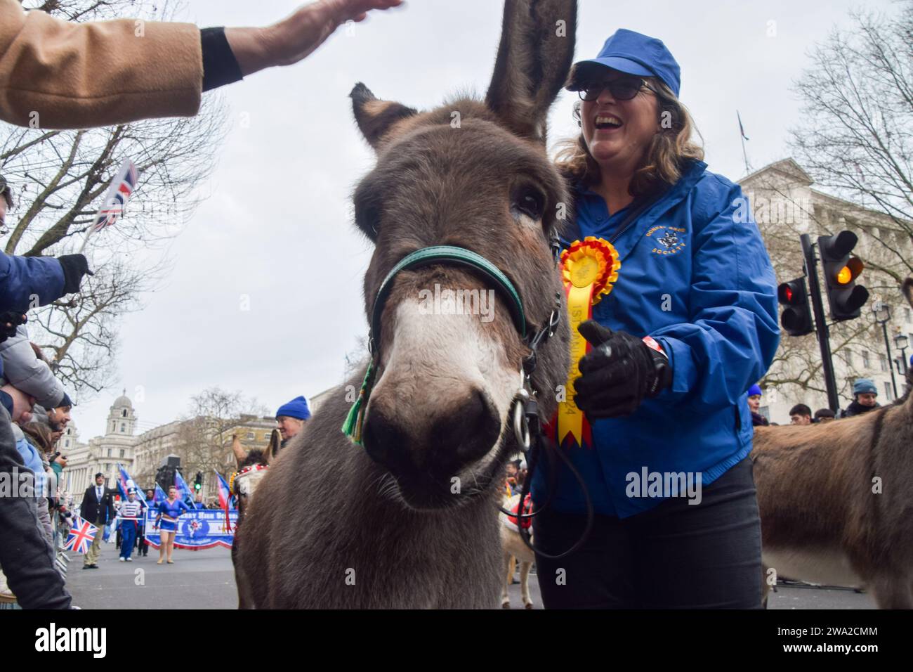 London, UK. 1st January 2024. Members of the Donkey Breed Society take ...