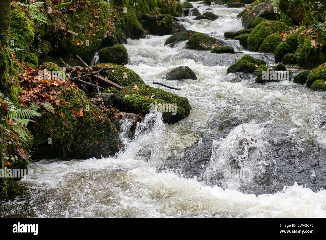Water from a waterfall with a fast shutter speed with frozen motion in ...