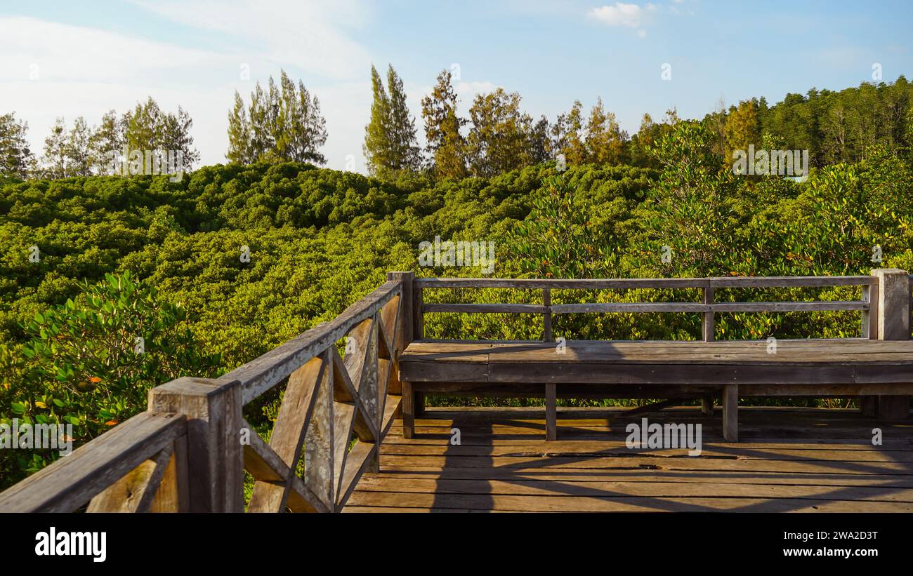 Wooden walkway in greenery field. Mangrove trees of Thung Prong Thong ...