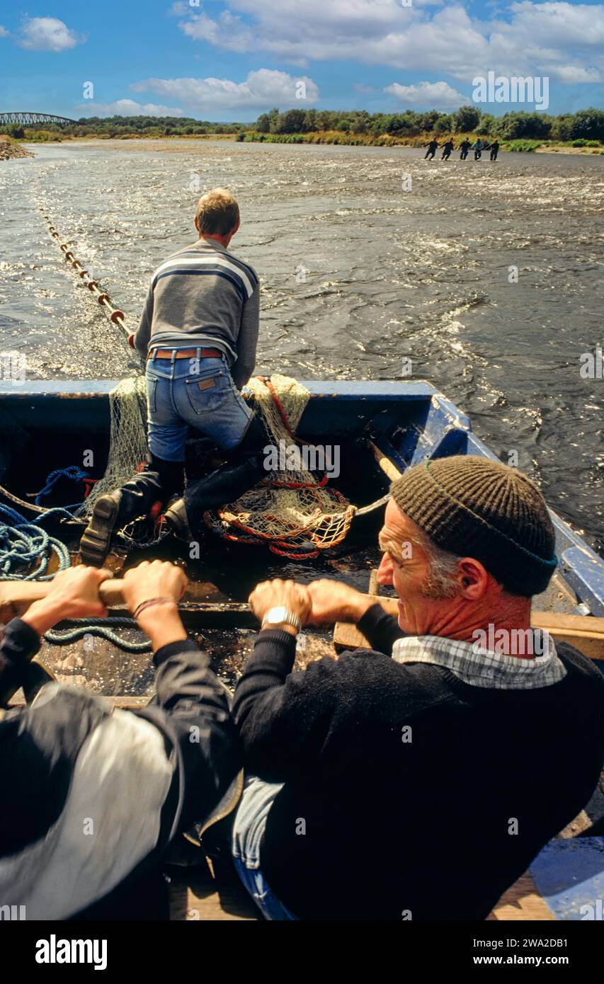 Salmon netting River Spey Scotland during 1990s encircling the pool ...