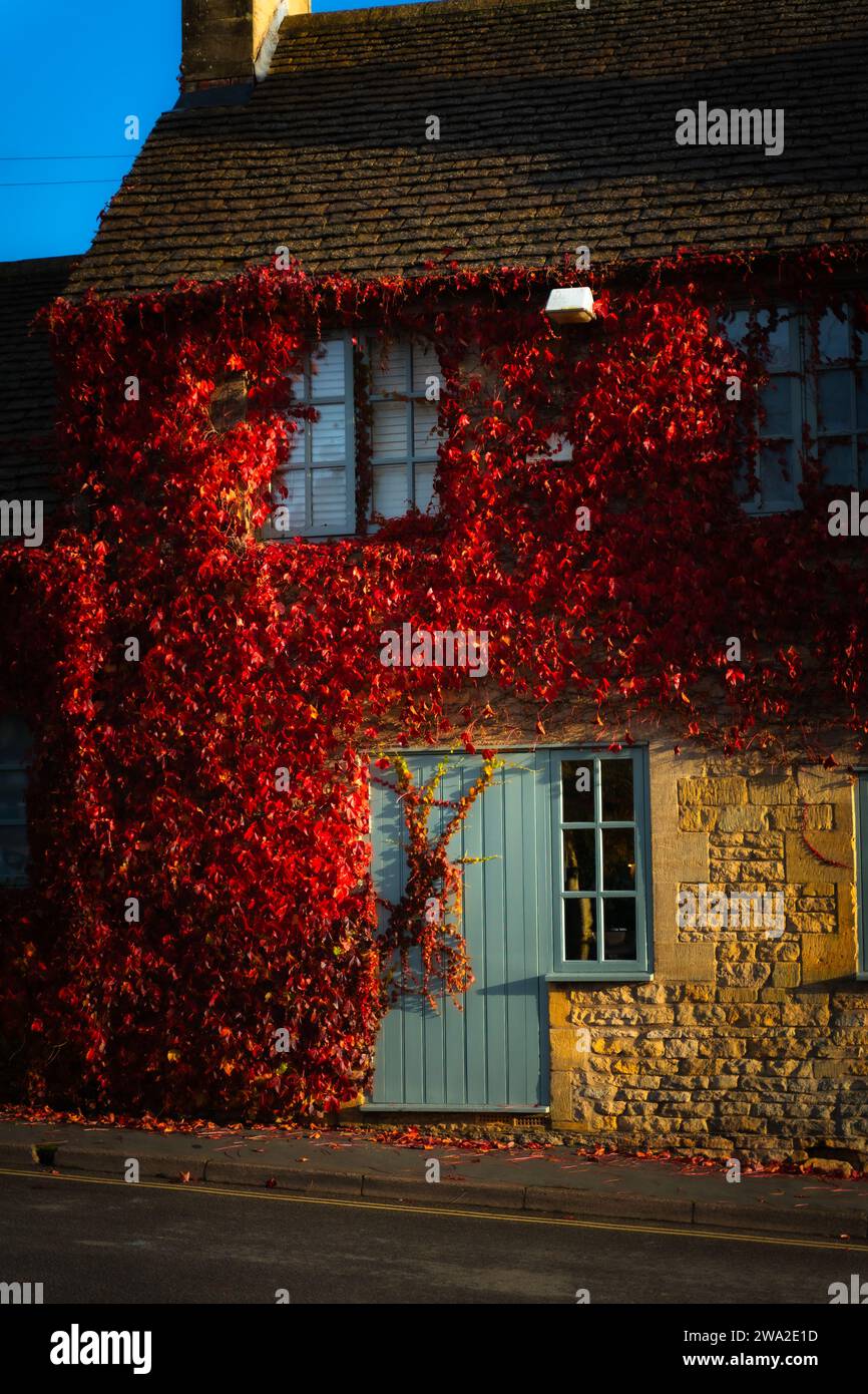 Virginia Creeper on Cottage in Cotswolds, UK Stock Photo - Alamy