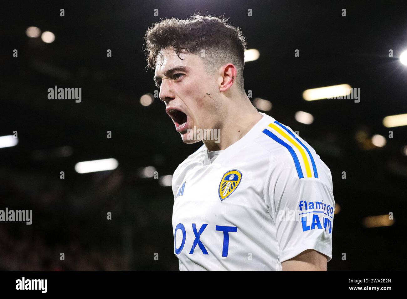 Daniel James of Leeds United celebrates his goal and makes the score 2 ...