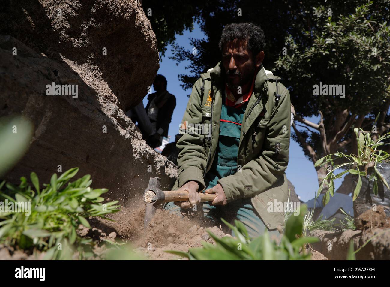 SANAA, Sanaa, Yemen. 1st Jan, 2024. A man digs to plant agricultural ...