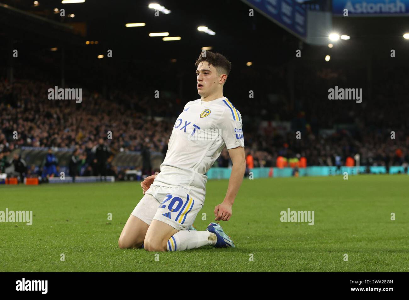 Daniel James of Leeds United scores his team's second goal during the ...