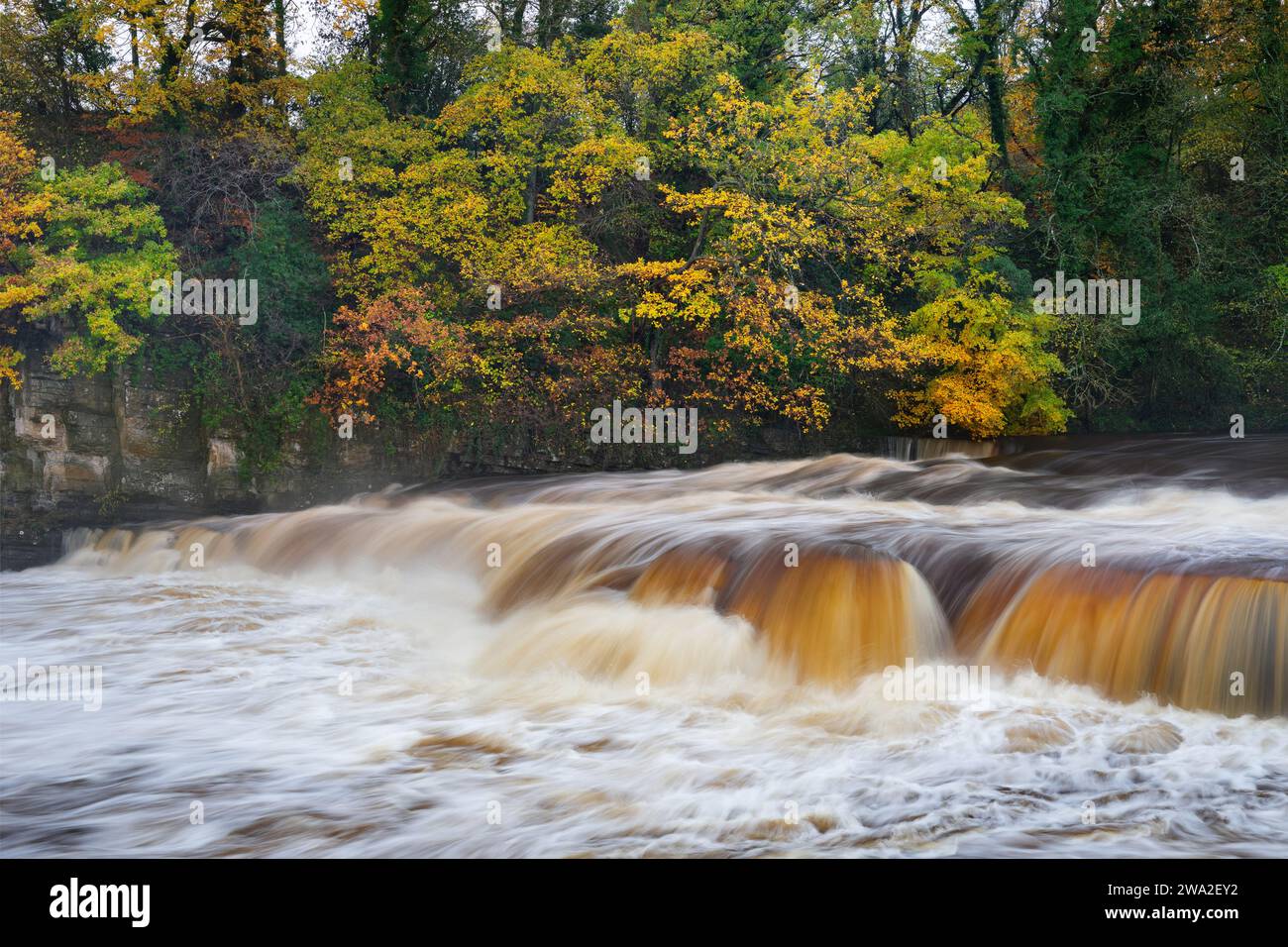 Richmond Falls in Spate - High Water at Richmond Waterfalls in Autumn ...