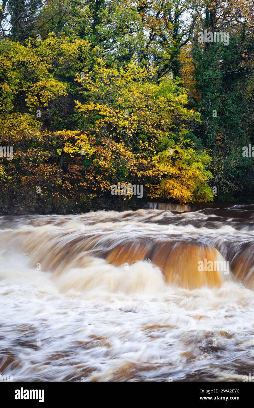 Richmond falls high water hi-res stock photography and images - Alamy